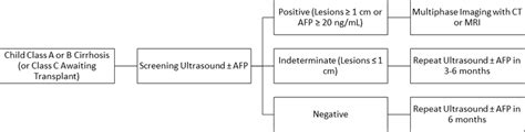 Aasld Algorithm For Hcc Surveillance Aasld American Association For Download Scientific
