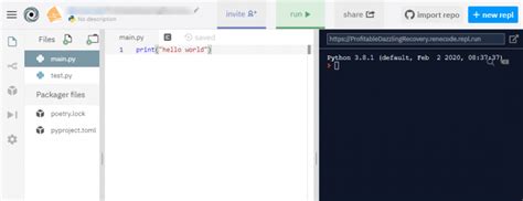 Python Integrated Development Environment Ide