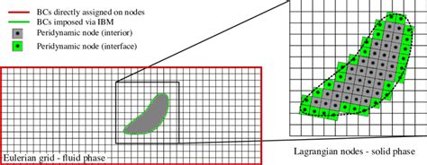 2d schematics of the discretization of the fluid domain eulerian grid