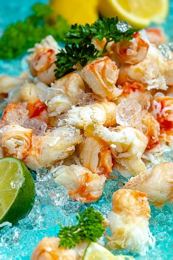 게 고기와 신체 부위 촉수 무릎 큐브 얼음에 푸른 해양 배경 레몬과 라임 의 조각은 녹색 빛 상단 측면보기 주위에 주위에 둥근 슬라이스 갈고리 발톱에 대한 스톡 사진 및