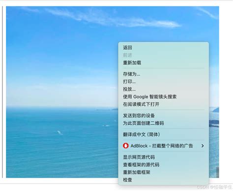 如何让网页中的图片不可下载 让文字不可选中 复制 网页 设置图片不能下载复制 csdn博客
