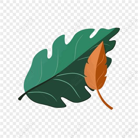 Dibujo De Hoja Simple