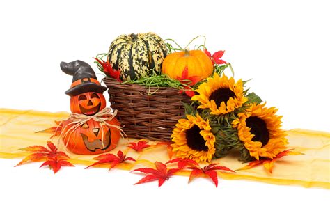 Free Images Light White Leaf Fall Decoration Orange Harvest