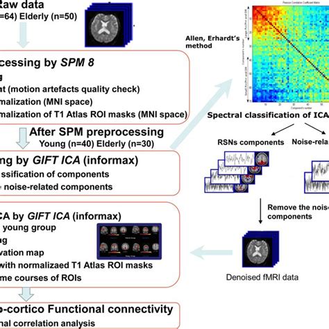 Resting State Fmri Preprocessing Download Scientific Diagram