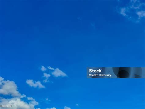 흐린 아침에 푸른 하늘을 취소 배경 벽지로 파스텔 스카이 벽지 0명에 대한 스톡 사진 및 기타 이미지 0명 구름 풍경 기상학 Istock