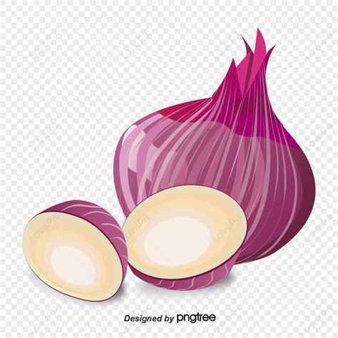 벡터 만화 무화과만화 과일과일 Png 일러스트 무료 다운로드 Lovepik