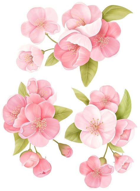 Pin De Md Sojib Hossen En My Saves En 2024