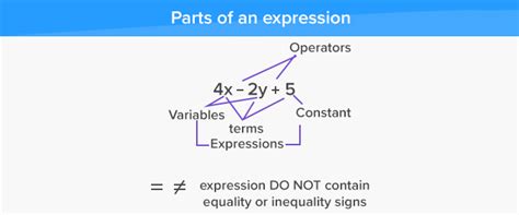 Numerical Expression Examples