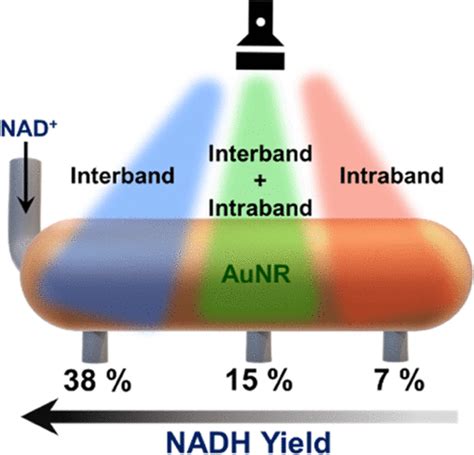 Deciphering The Role Of Light Excitation Attributes In Plasmonic