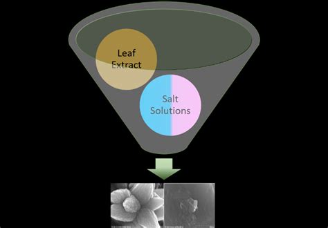 Schematic Illustration For The Synthesis Of Nanoparticles Download Scientific Diagram