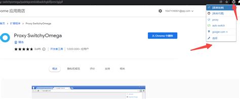 Burp Suite 202294 最新版本下载教程burpsuite下载 Csdn博客