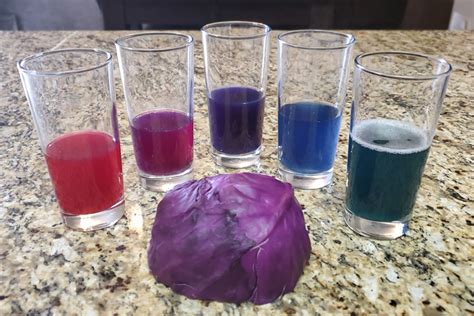 Red Cabbage Indicator
