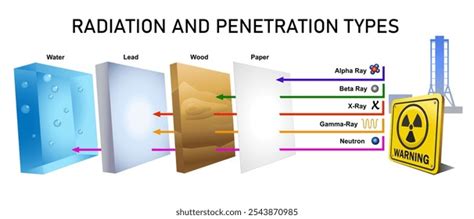 Gamma Radiation Diagram Over 343 Royalty Free Licensable Stock