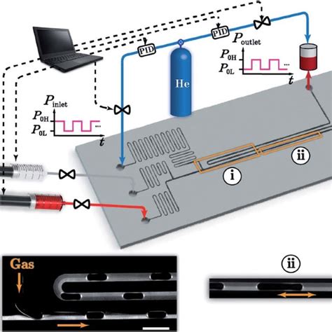 Schematic Illustration Of The Oscillatory Segmented Flow Reaction Download Scientific Diagram