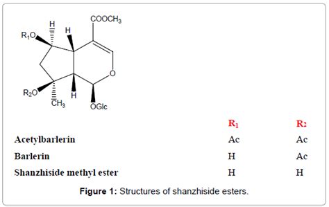 Hptlc Method For Shanzhiside Esters Simultaneous Quantitative An