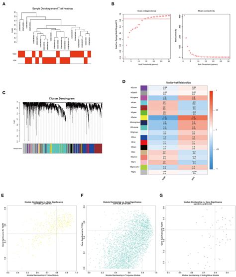 The Results Of Weighted Gene Co Expression Network Analysis Wgcna Download Scientific