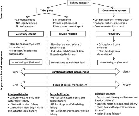 Real Time Spatial Management Analytical Framework Comanagement