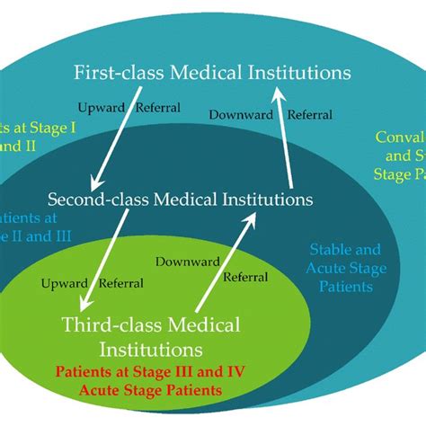 Schematic Diagram Of Chinas Hierarchical Medical System Download Scientific Diagram