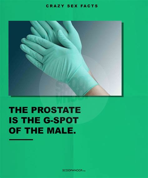 20 Fun Facts About Sex 20 Inappropriate Dirty Facts On Sex