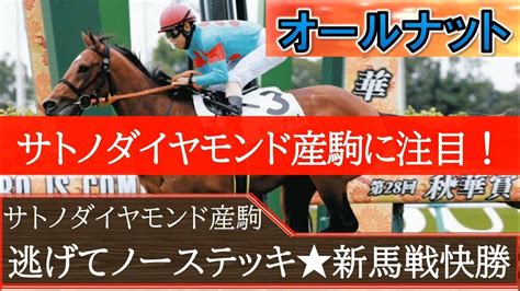 【一口馬主】逃げてノーステッキ快勝！注目度上昇中サトノダイヤモンド産駒「オールナット」大きく目立たないも内容は非常に優秀今後も注目の1頭