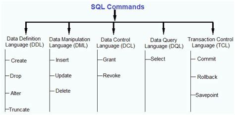 Muhammad Umair Arshad On Linkedin Sql Dataanalytics Datascience Sqlprogramming Databases