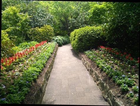 E G Waterhouse National Camellia Gardens All You Should Know Before