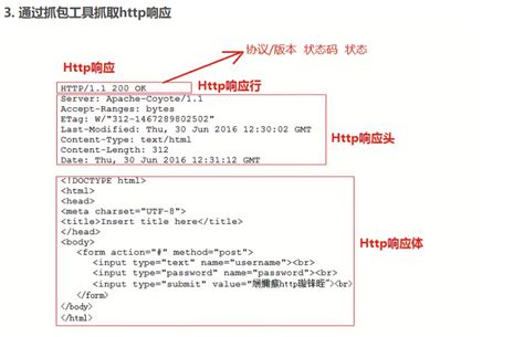Response简介 YE 博客园