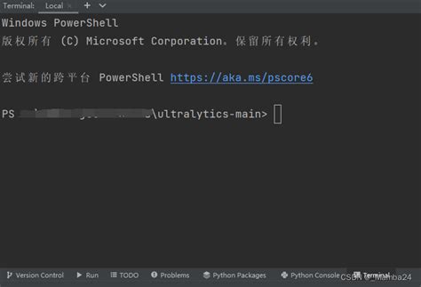 YOLOv 环境搭建和推理 yolov 模型下载 CSDN博客