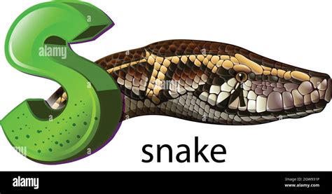 Python Letters Clipart