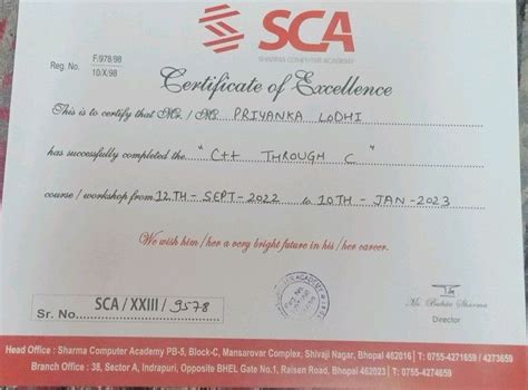 Priyanka Lodhi On Linkedin Programming Connections Language Share