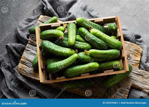 Fresh Ripe Organic Small Gherkin Cucumbers In Bowl Or Basket Stock Image Image Of Cutting