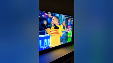 Tigrinho Brazil Victorroque Victorro Youtube