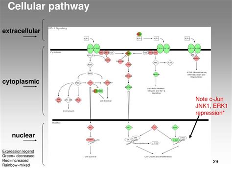 ppt microarray experiment design and data interpretation powerpoint