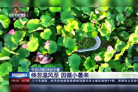 今日10时38分小暑倏忽温风至 因循小暑来 温风至