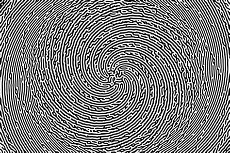 turing ornament halftone puzzle pattern reaction diffusion bio stock