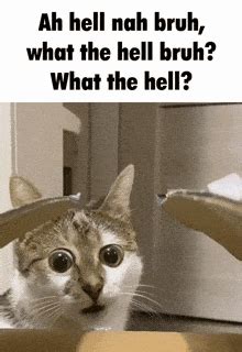 Hell No  Hell No Discover And Share S