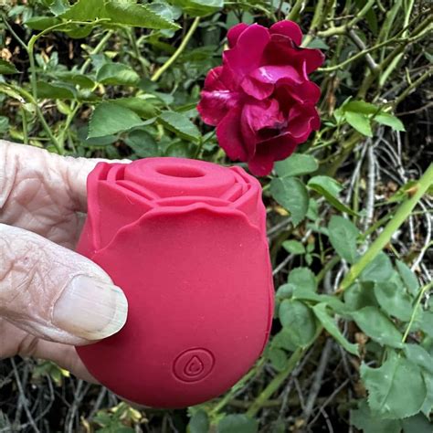 Inya The Rose Review Joan Price