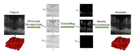 Figure 2 From Universal Digital Filtering For Denoising Volumetric