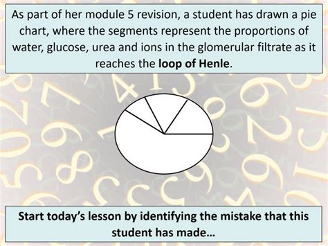 512 Excretion As An Example Of Homeostatic Control Ocr A Level Biology Teaching Resources