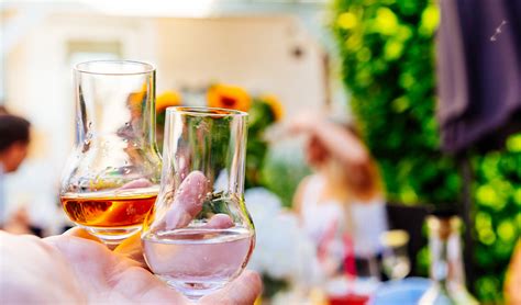 The Herbal Liqueur Landscape | Proof By Southern Glazer's