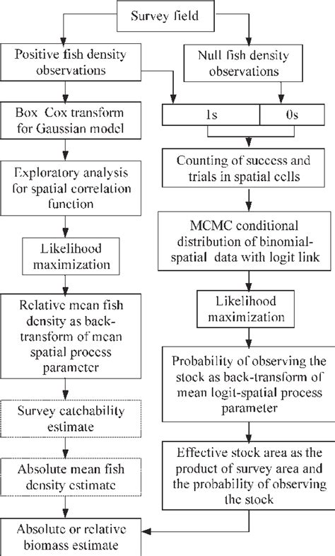 Schematic Representation Of The Modelling Approach To Estimating
