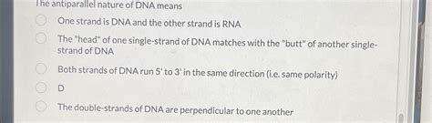 Solved The Antiparallel Nature Of Dna Means None Strand Is