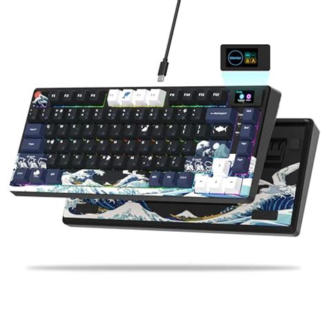 What Is A Wasd Layout Explained By An Expert Profightstick