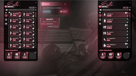 PAID ZM Erotic Menu V2 VAG Premium FiveM Scripts FiveM Mods And FiveM Leaks