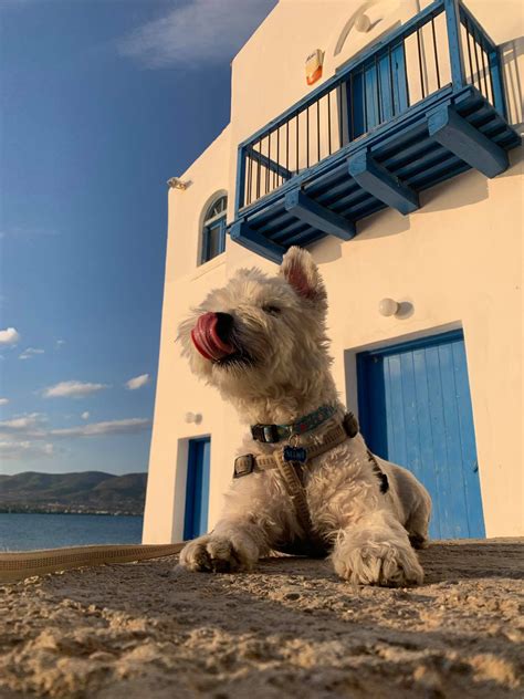 Ομορφες εικονες της Ελλάδας ελβετια Facebook