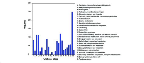 Cog Classification Of Differentially Expressed Genes Of Different