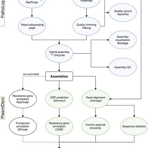 Schematic Diagram Of The Data Analysis Workflow Used In This Study The Download Scientific