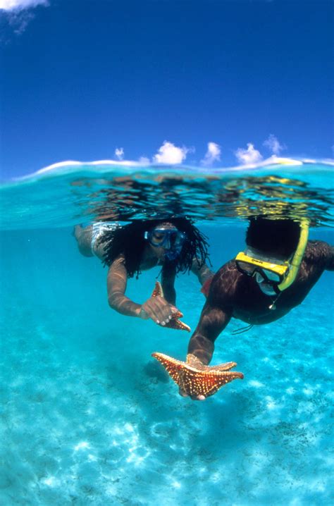 Best Snorkeling Spots In The Caribbean Artofit