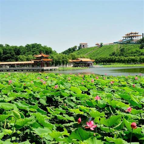 “ЖИНИНЬ ХӨХ ХОТ” АЯЛАЛ New Value Travel