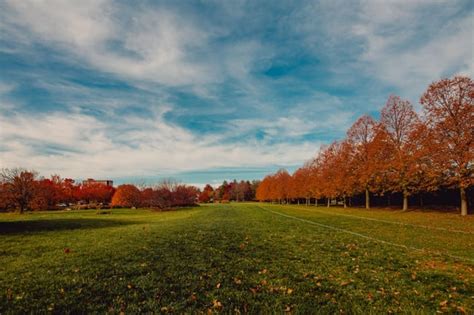 Campus Is Beautiful R Uiuc